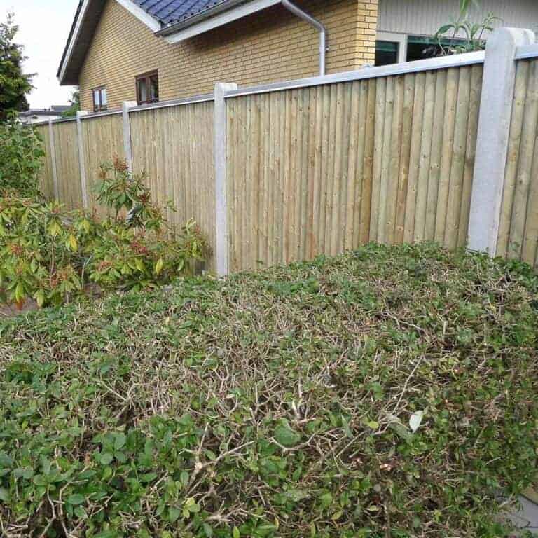 Raftehegn | Mange modeller og høj kvalitet | Se udvalg her